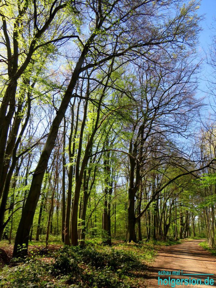 Erft-Radweg / Rhein-Radweg (Region:Rhein-Erft-Kreis, Rhein-Kreis Neuss ...